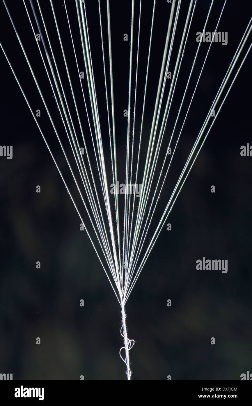 Threads tied to Balloons in air Stock Photo - Alamy