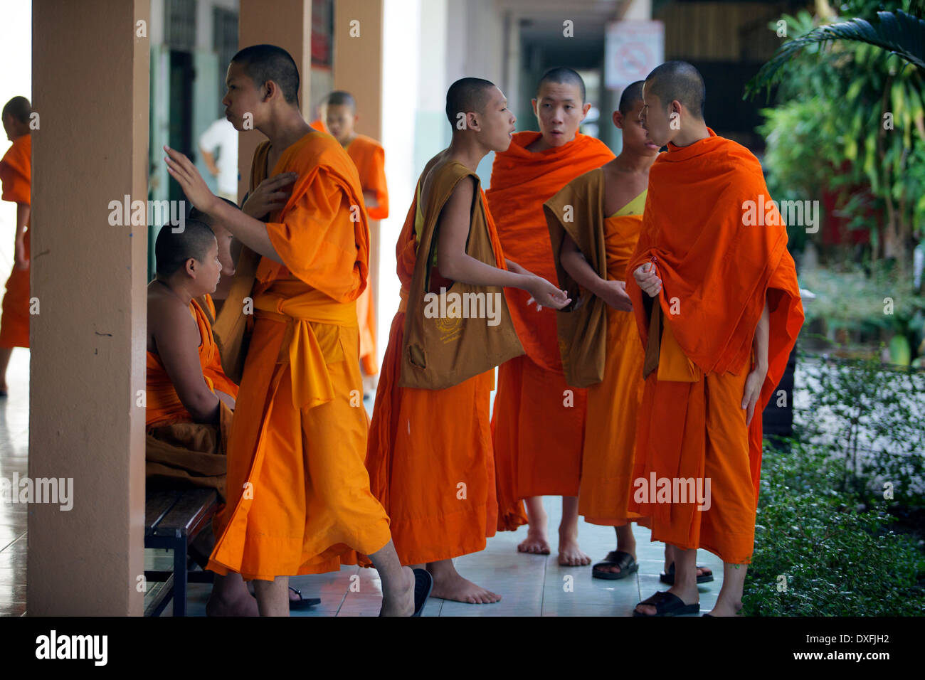 Young Monks spending time together during a break at school Stock Photo ...