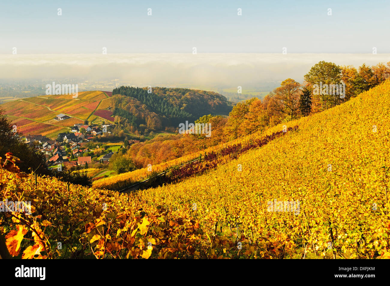 Baden wurttemberg village route hi-res stock photography and images - Alamy