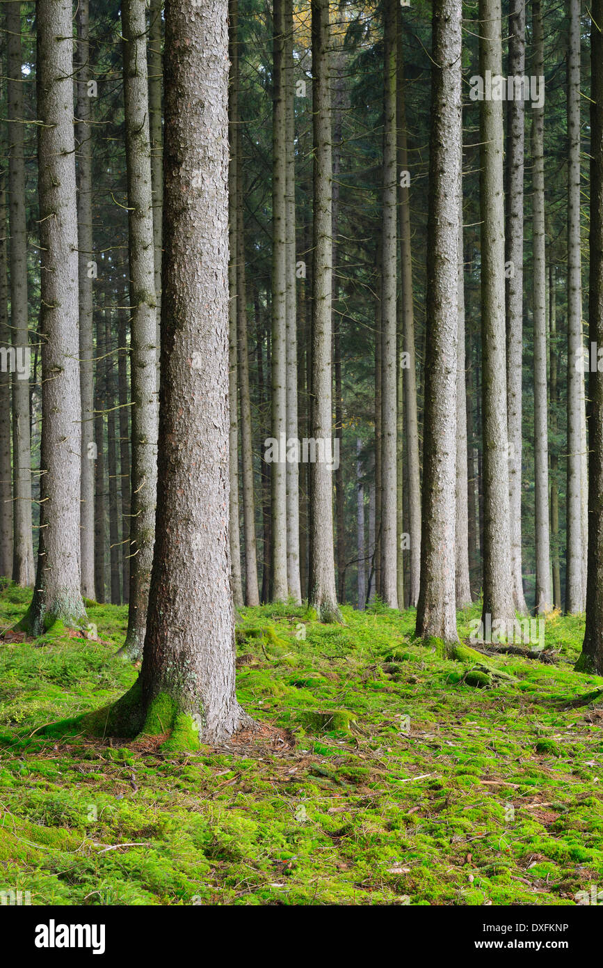 Odenwald mountains hi-res stock photography and images - Alamy