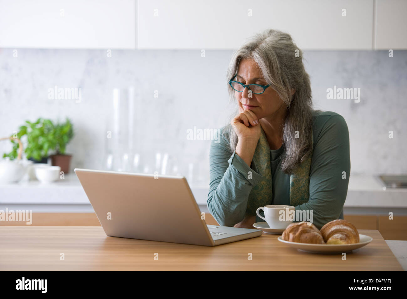Mature woman with laptop computer Stock Photo - Alamy