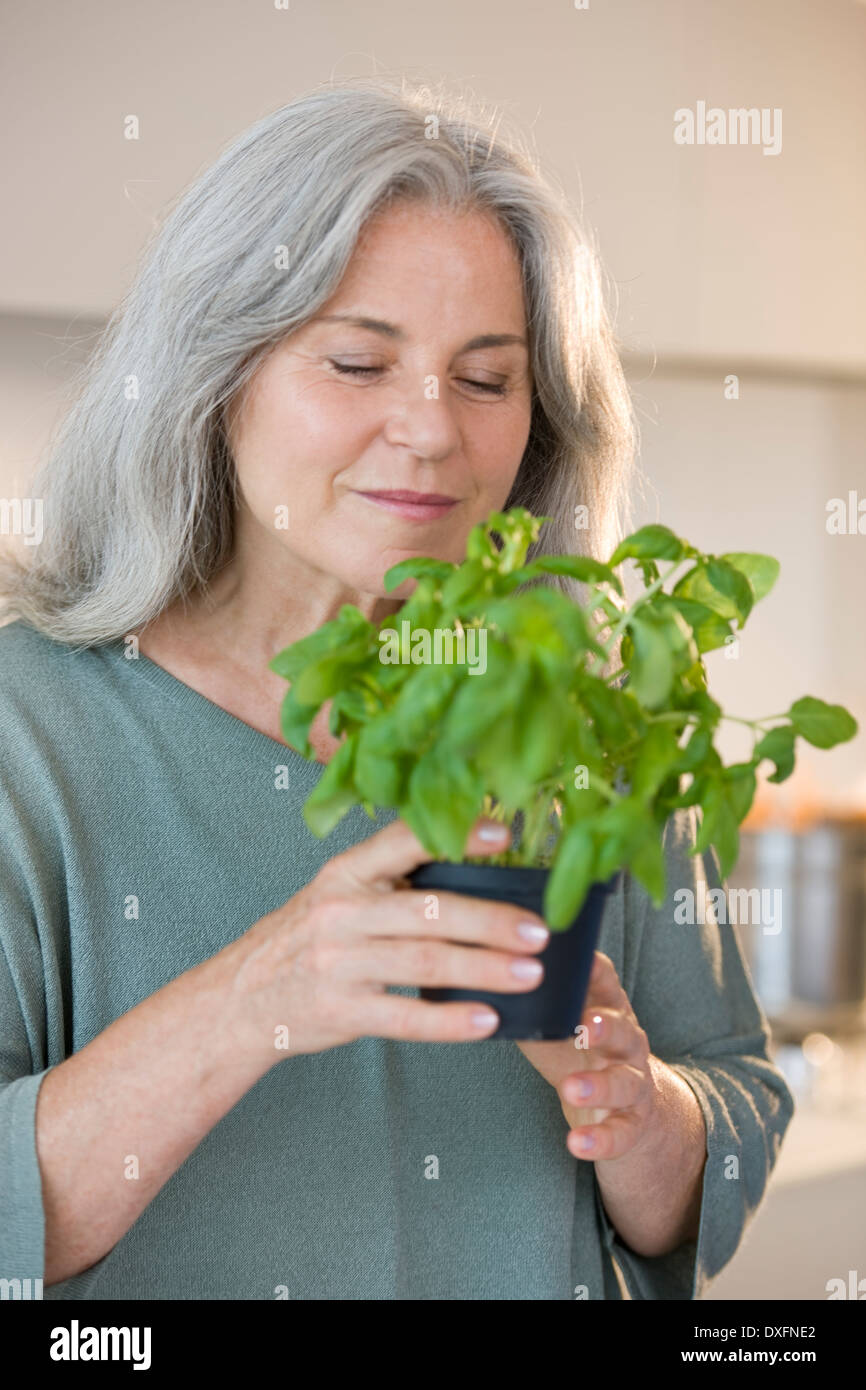 Mature woman holding basel plant Stock Photo - Alamy