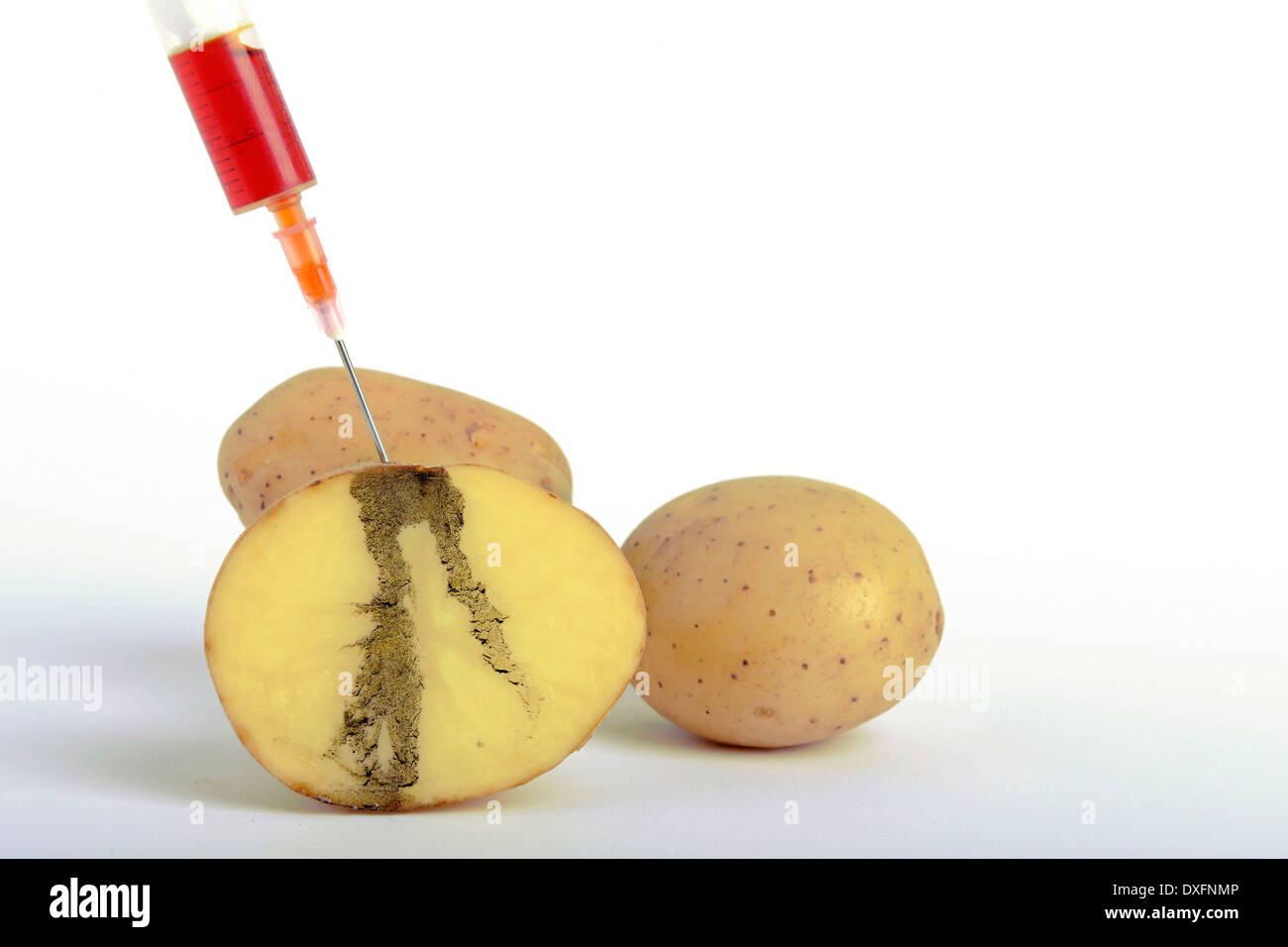 Syringe in potato, symbol for genetically modified food Stock Photo - Alamy