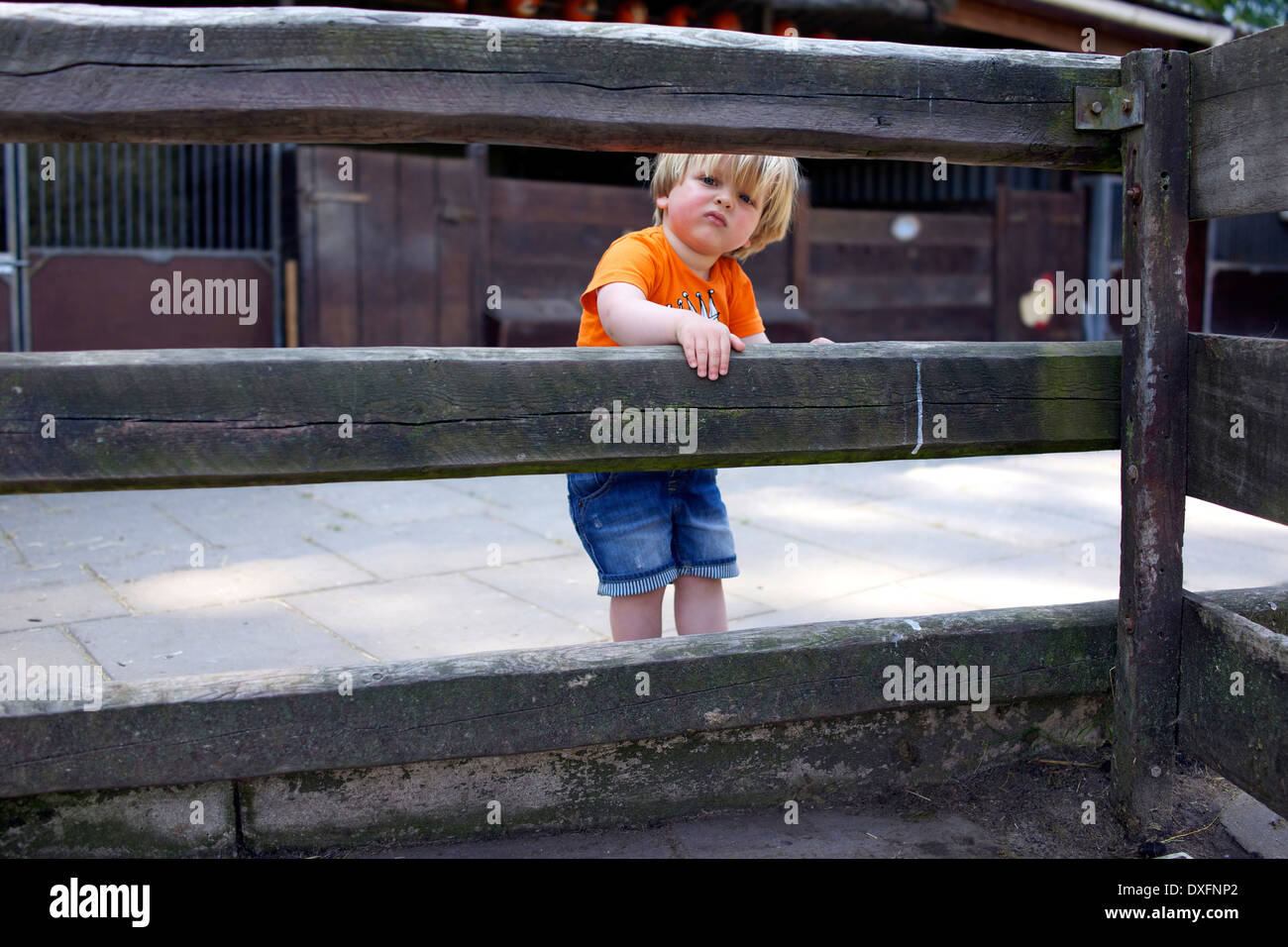 Little Dutch boy Stock Photo - Alamy