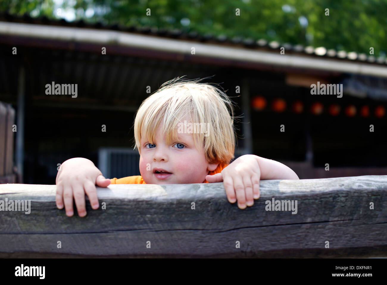 Dutch boy hi-res stock photography and images - Alamy