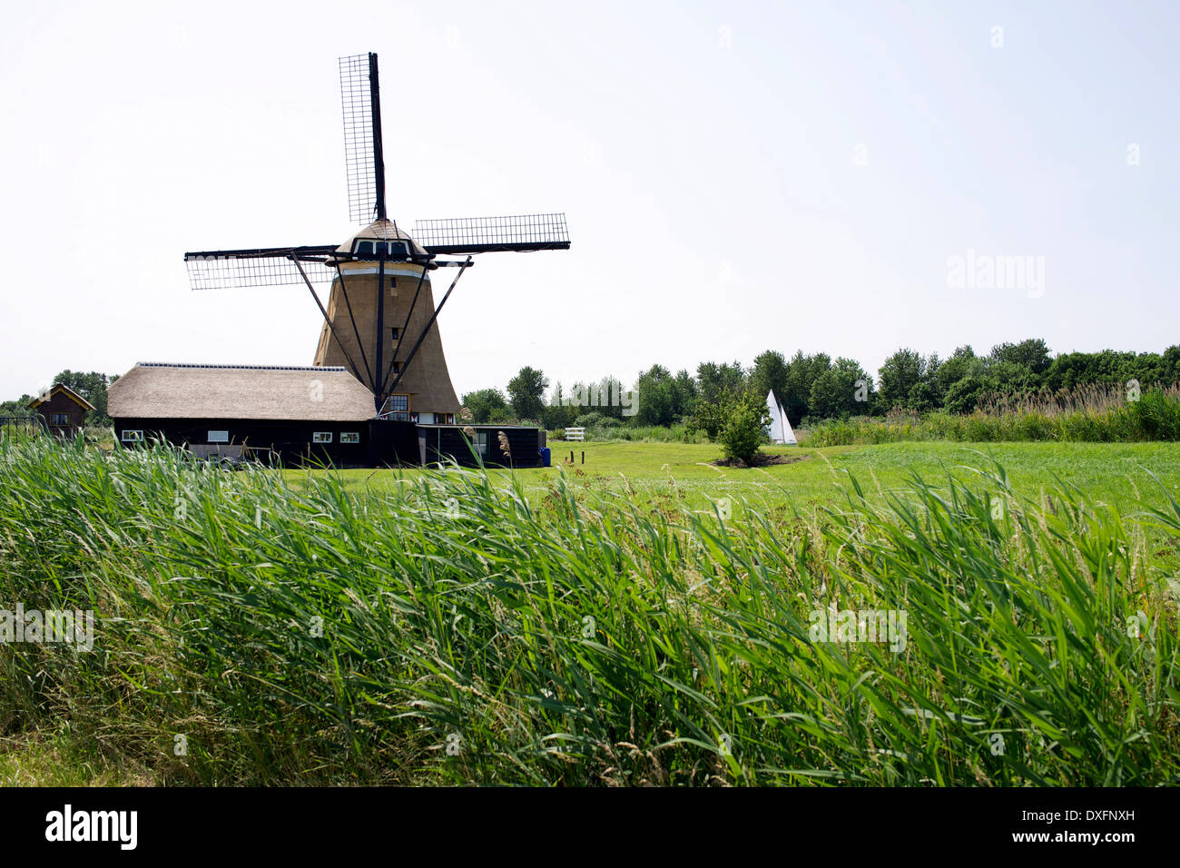 Dutch windmills along de 'Rottemeren' in Bleiswijk, Holland Stock Photo ...
