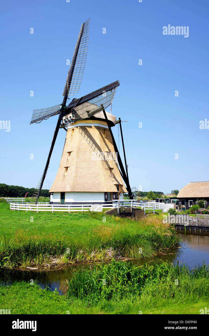 Dutch windmills along de 'Rottemeren' in Bleiswijk, Holland Stock Photo ...