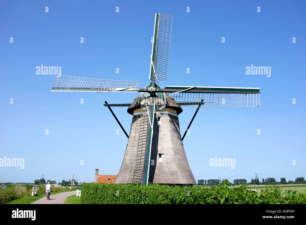 Dutch windmills along de 'Rottemeren' in Bleiswijk, Holland Stock Photo ...