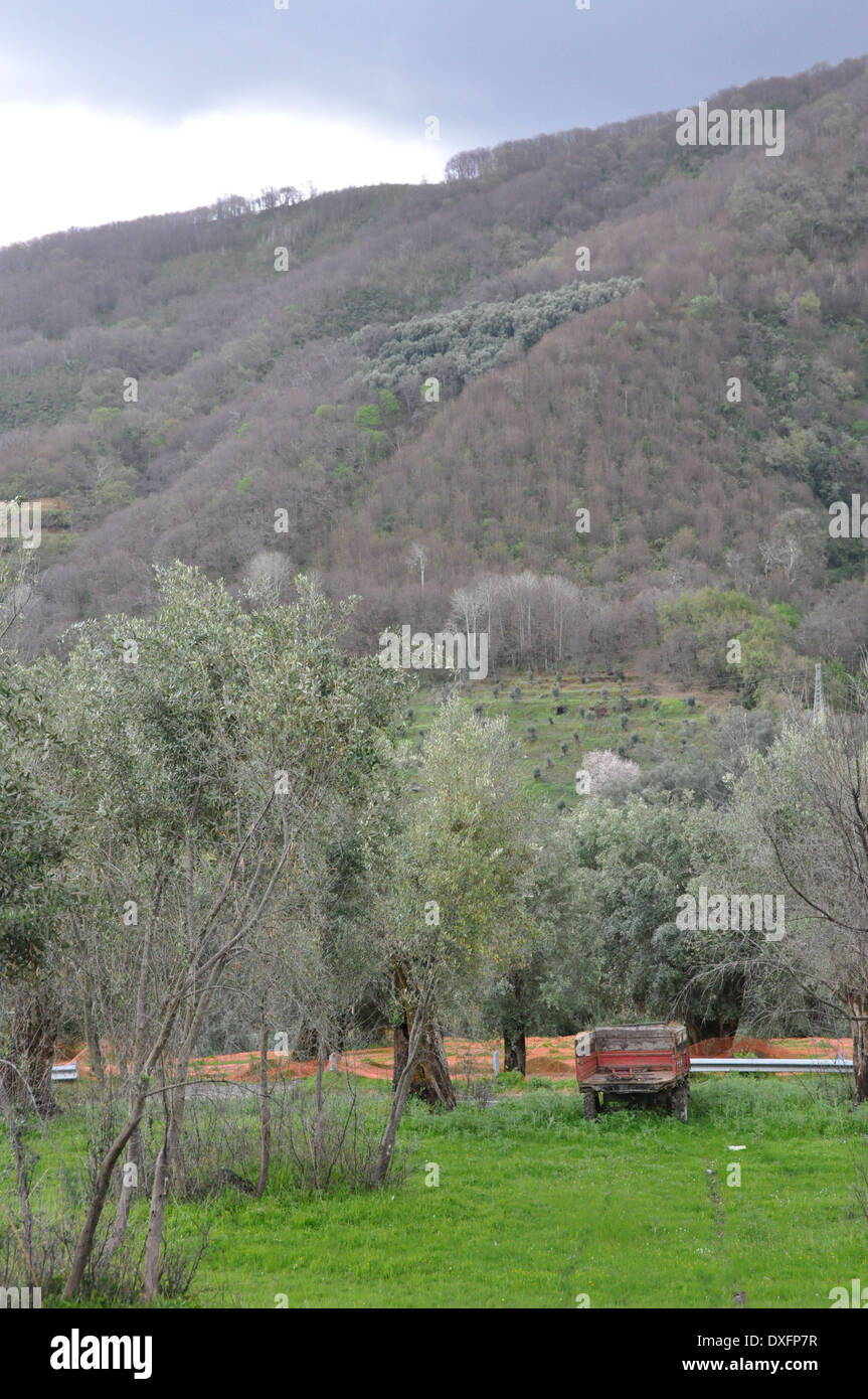 Calabrian mountains hi-res stock photography and images - Alamy
