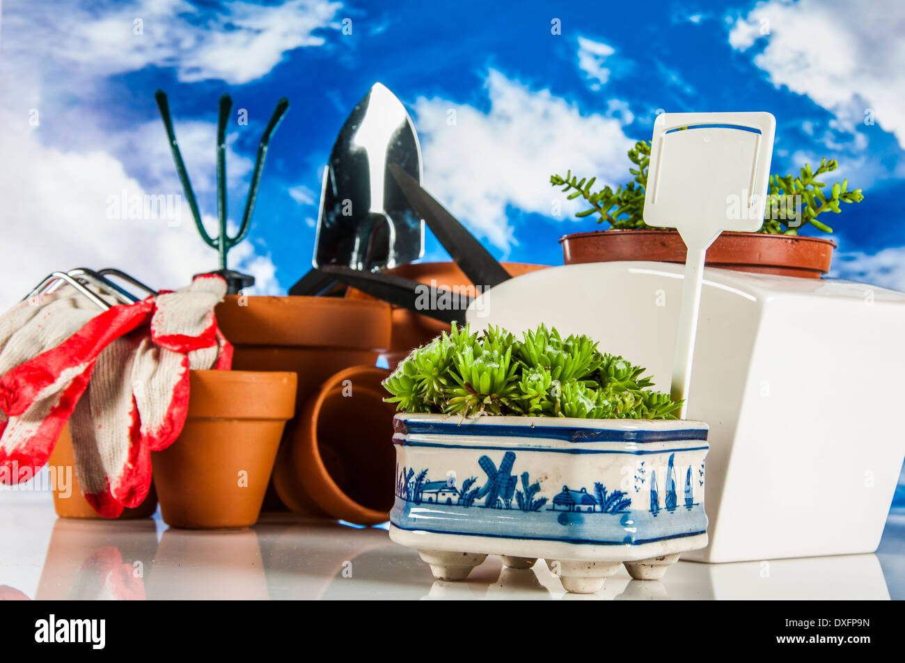 Beautiful theme of garden, vivid colors, bright background Stock Photo ...