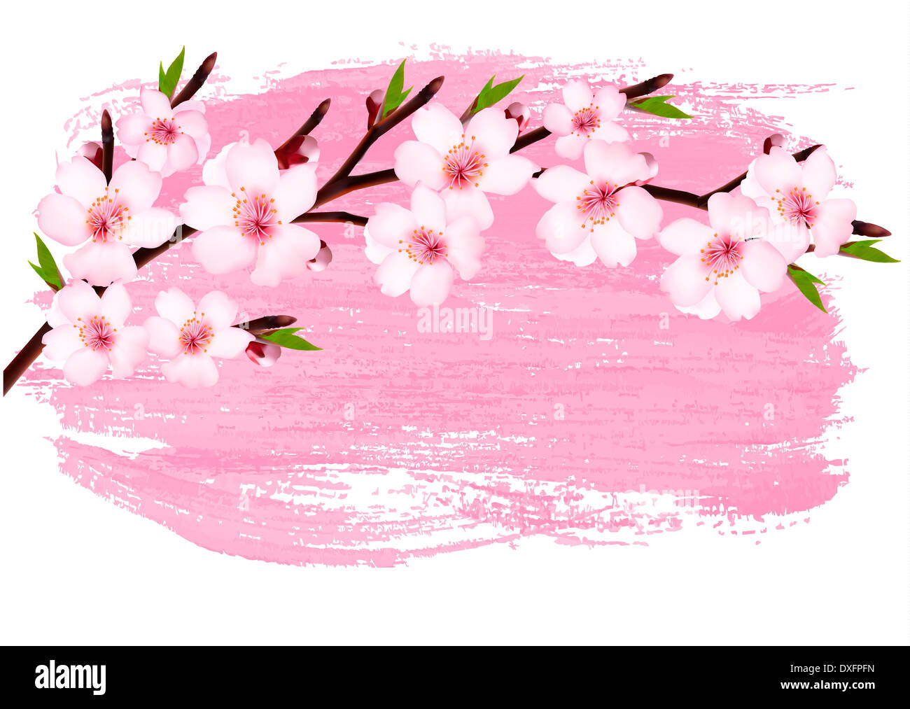 Pink paint sakura branch banner. Vector Stock Photo - Alamy