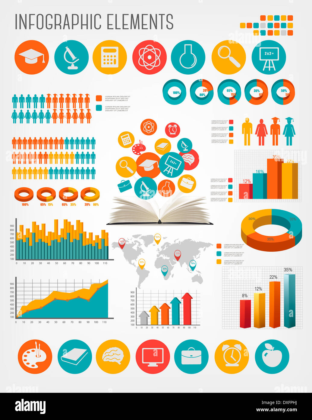 Education infographics. Vector Stock Photo - Alamy