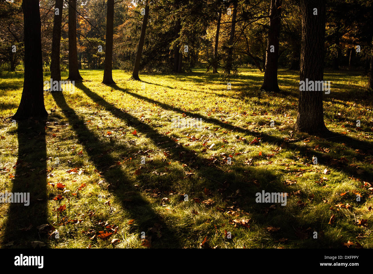 Visual scenery hi-res stock photography and images - Alamy