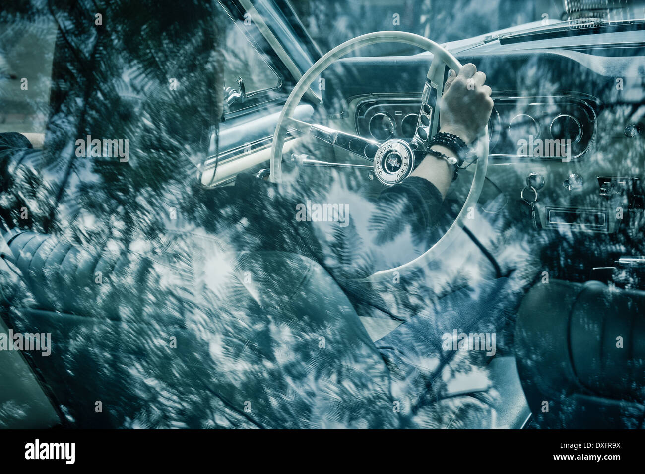 Woman driving a Ford Mustang Stock Photo - Alamy
