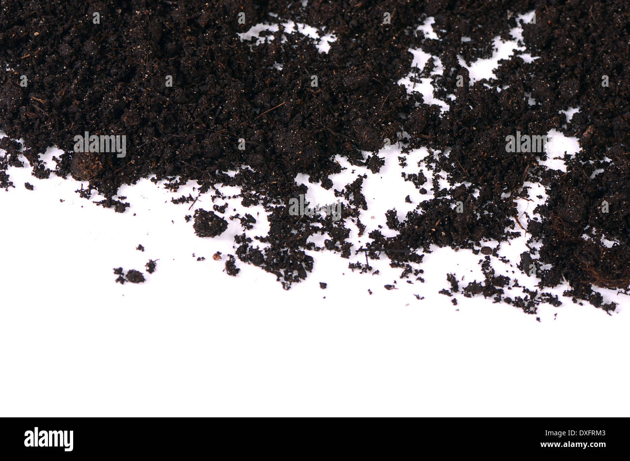 Black ground closeup isolated on white background Stock Photo - Alamy