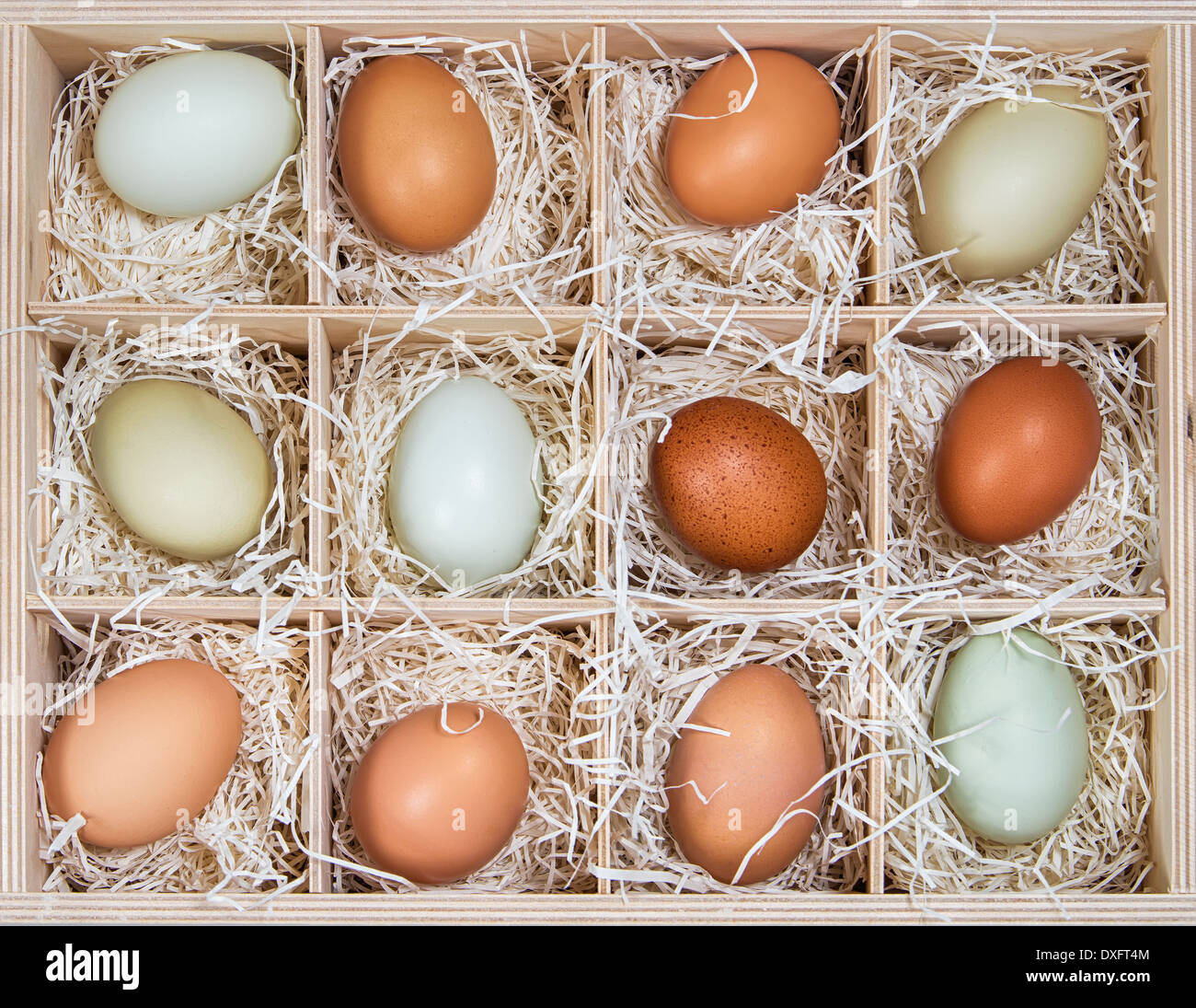 Assortment of different color, fresh, chicken eggs displayed in wood ...