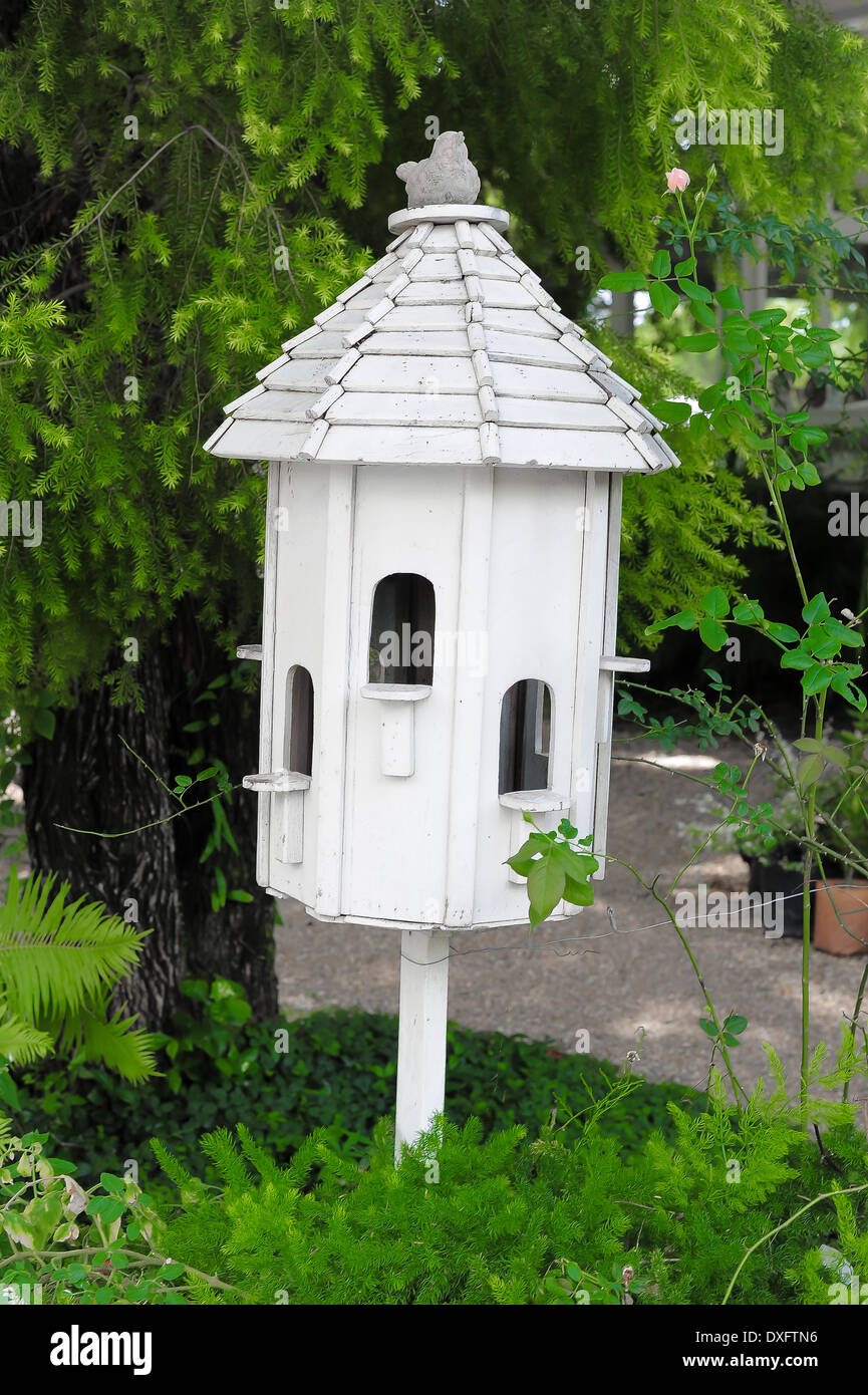 Home wood plants white hi-res stock photography and images - Alamy