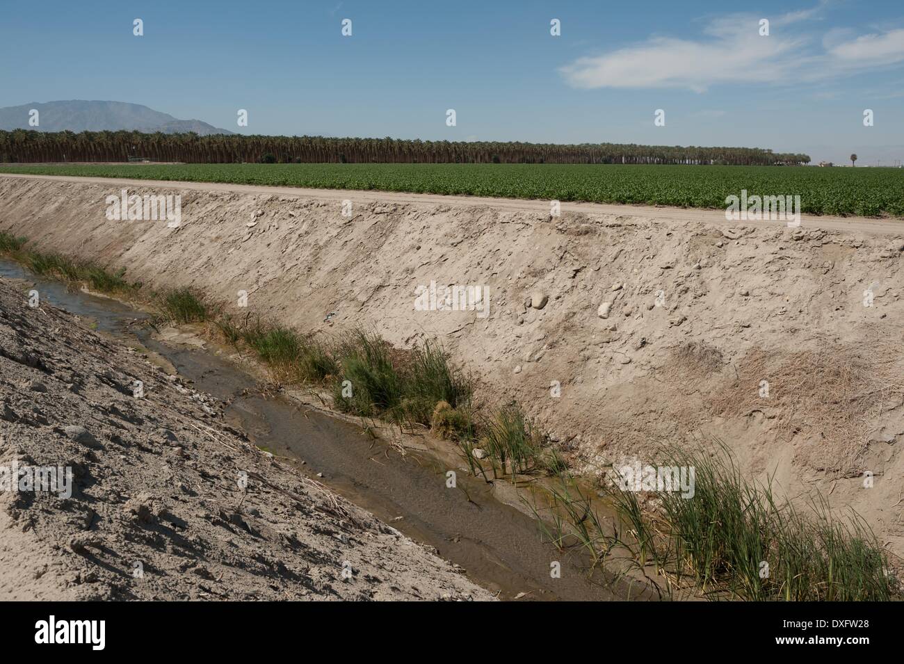 Early 1900s irrigation hi-res stock photography and images - Alamy
