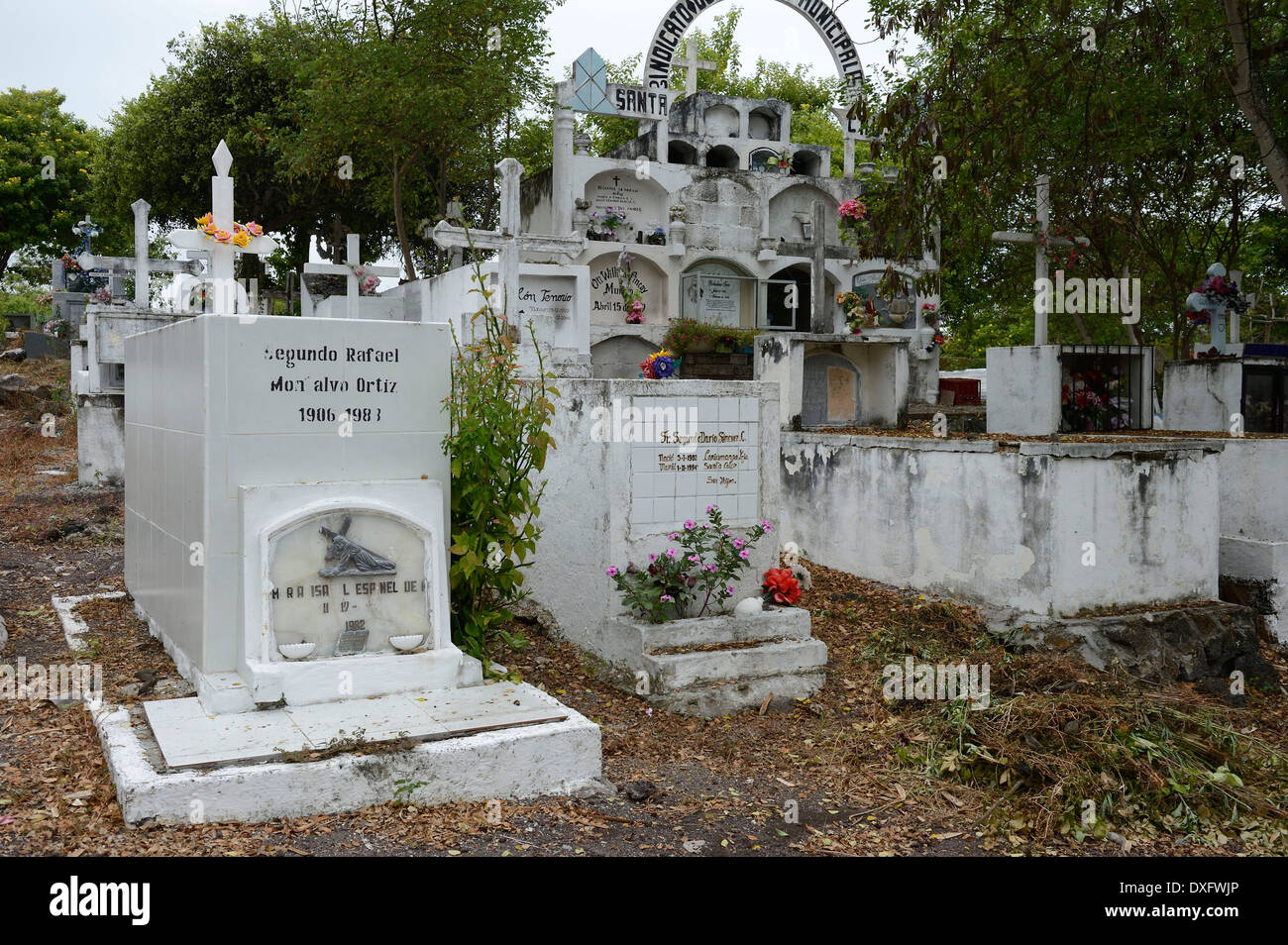 Cemetery, Santa Cruz Island, Galapagos Islands, Ecuador / Indefatigable ...