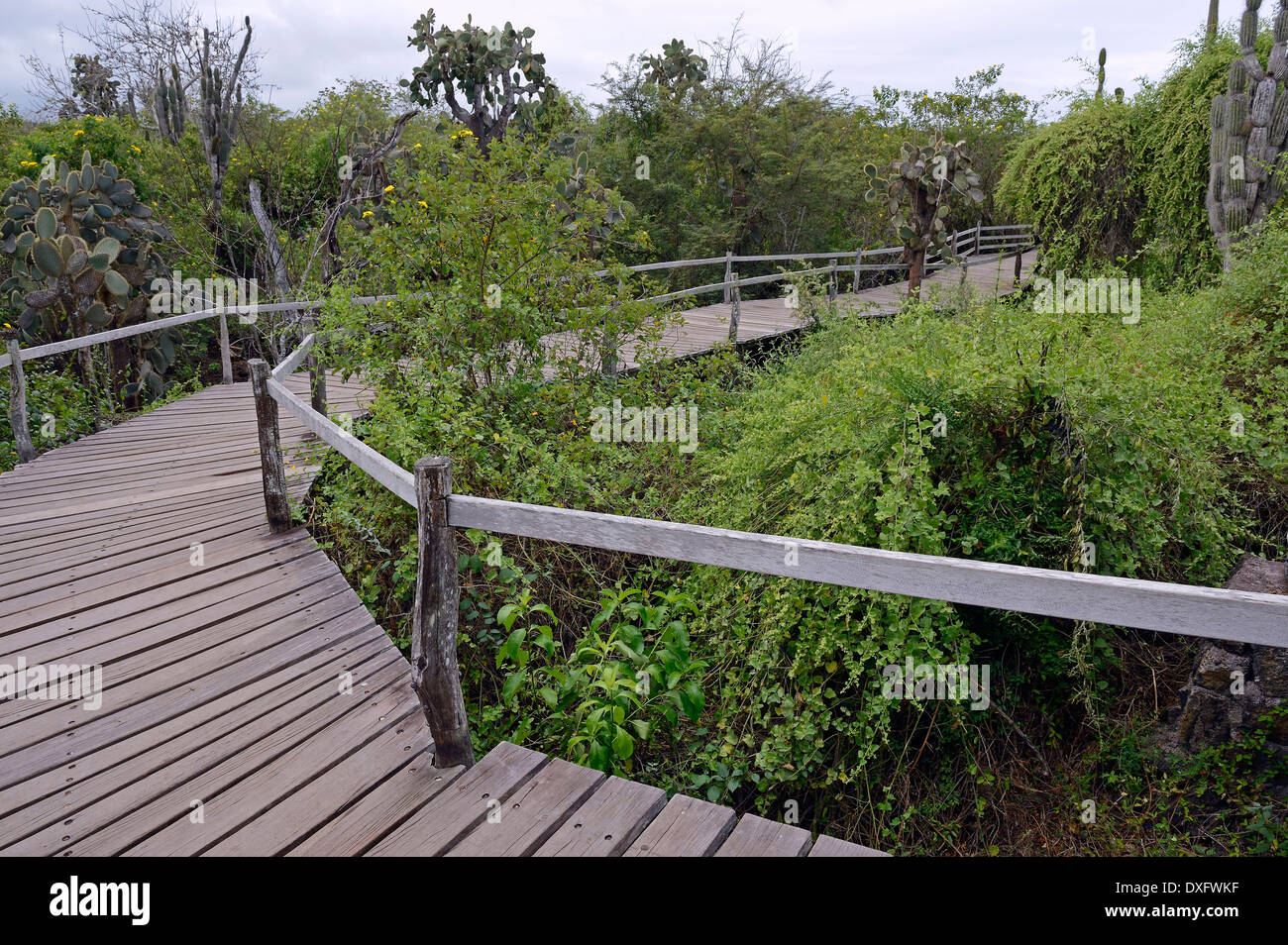 Walkway between compounds Charles Darwin Research Station Santa Cruz ...