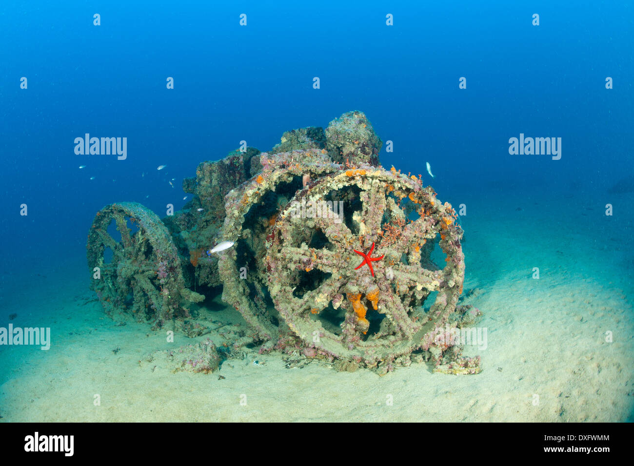 Adria ship hi-res stock photography and images - Alamy