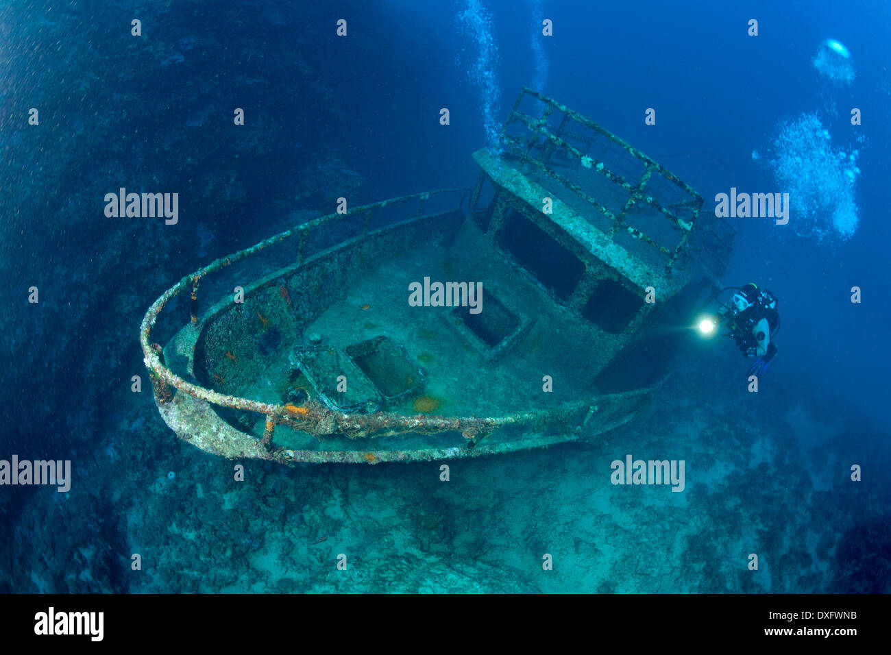 Ship wreck underwater shipwreck scuba hi-res stock photography and ...