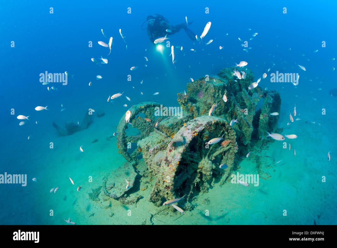 Tractor next to Taranto Wreck, Adriatic Sea, Croatia Stock Photo - Alamy