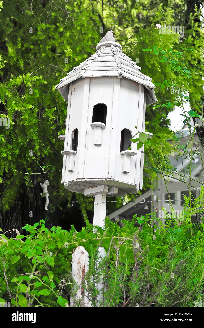Home wood plants white hi-res stock photography and images - Alamy