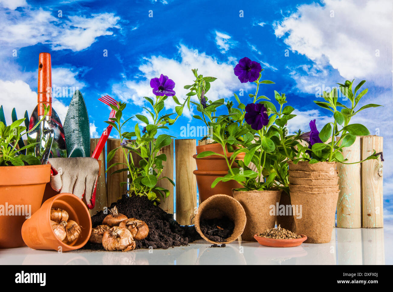 Beautiful theme of garden, vivid colors, bright background Stock Photo ...