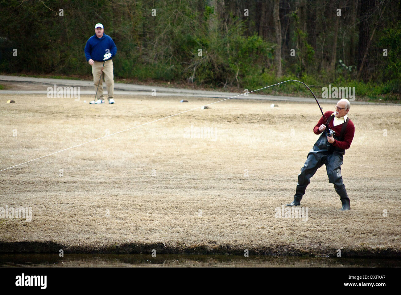 Jackass hi-res stock photography and images - Alamy