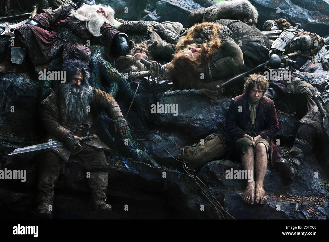 The Hobbit : The Desolation of Smaug Stock Photo - Alamy