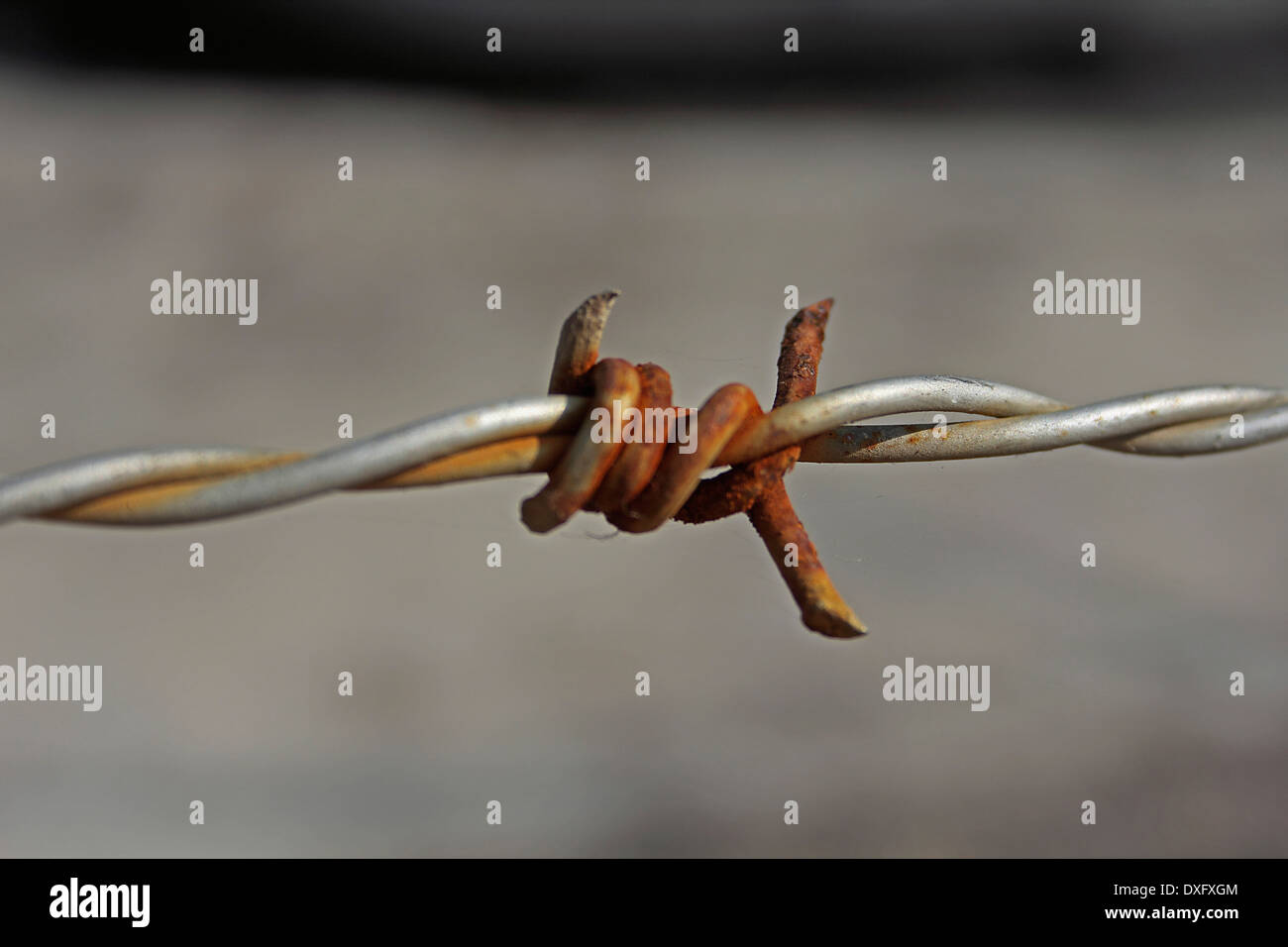 Rusty wire hi-res stock photography and images - Alamy