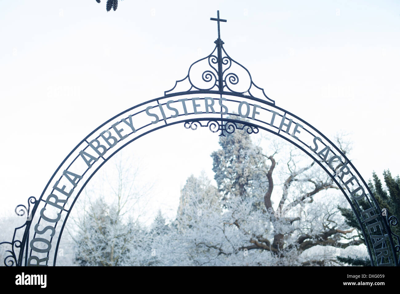 Philomena hi-res stock photography and images - Alamy