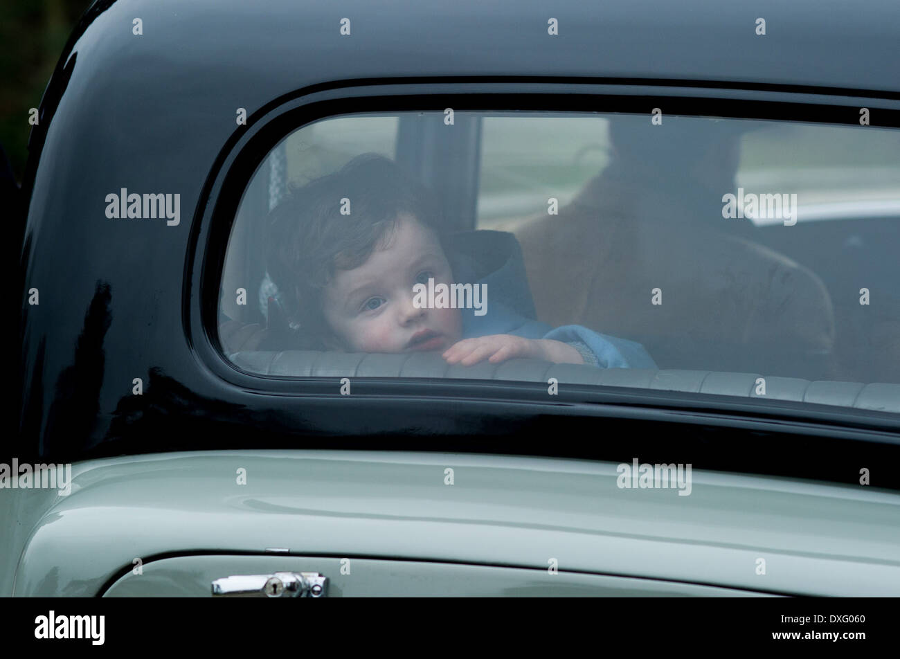 Philomena hi-res stock photography and images - Alamy