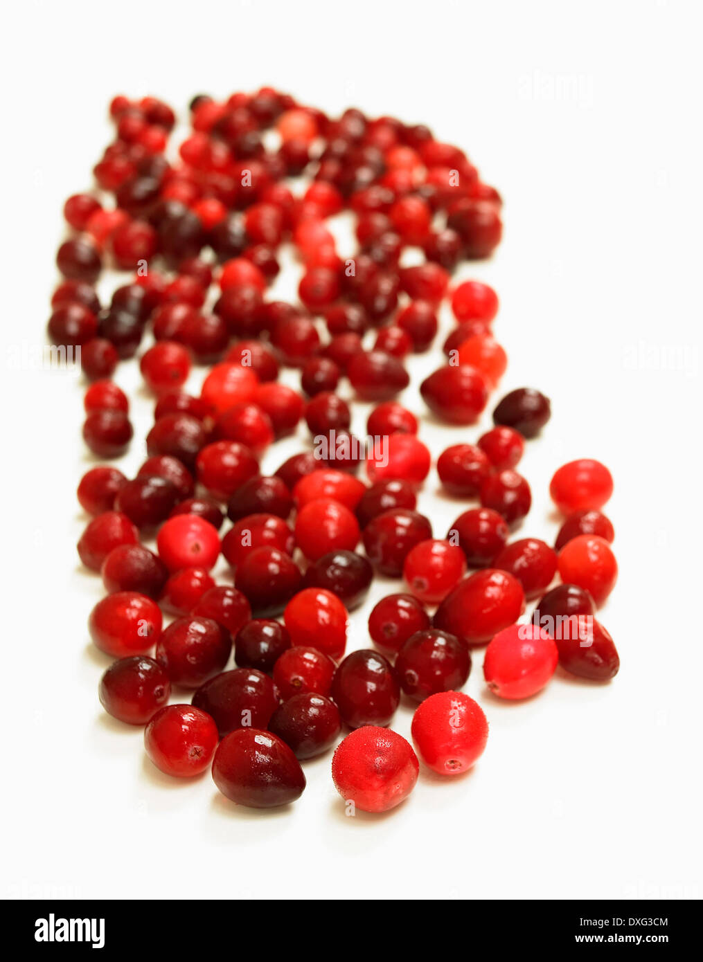 Cranberries hi-res stock photography and images - Alamy