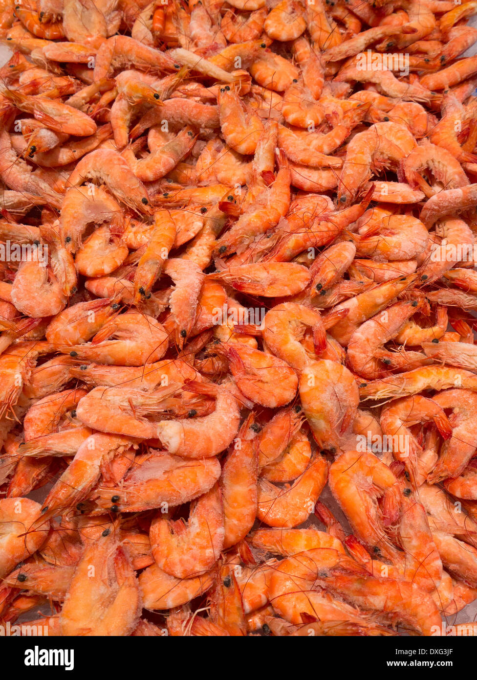 Display of shrimps hi-res stock photography and images - Alamy