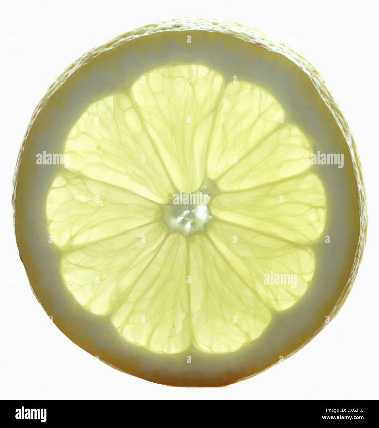 Fresh lemon slice close hi-res stock photography and images - Alamy