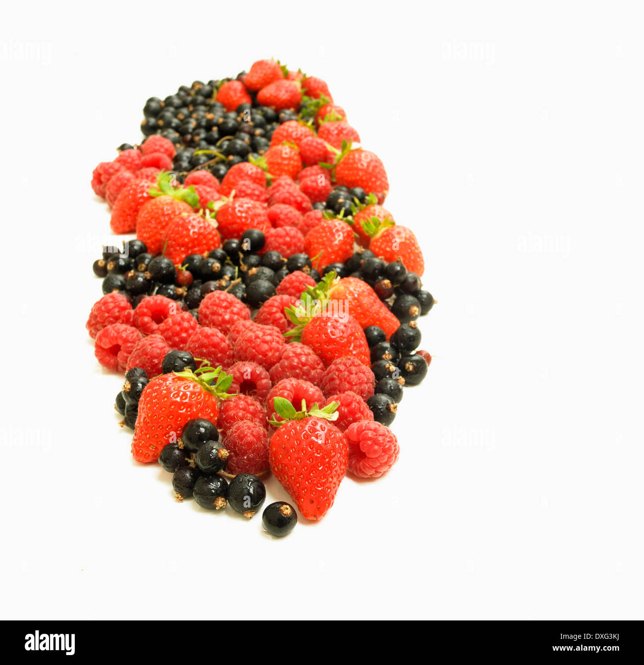 Mixed Summer Berries On White Background Stock Photo - Alamy
