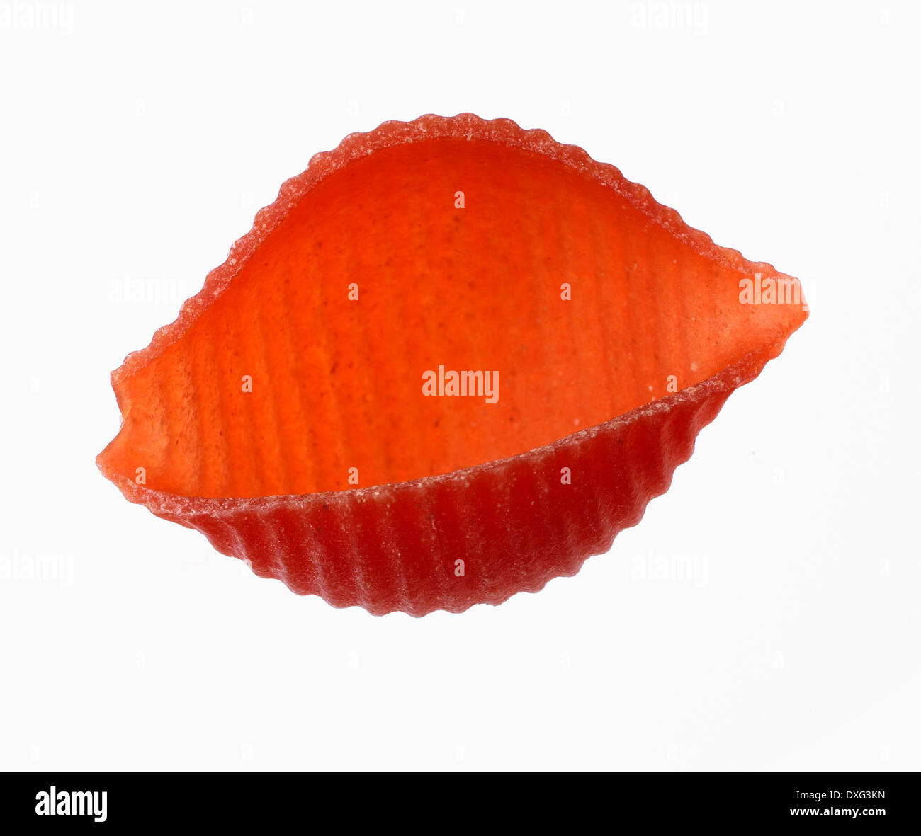 Orange Conchiglie Pasta Shell On White Background Stock Photo - Alamy