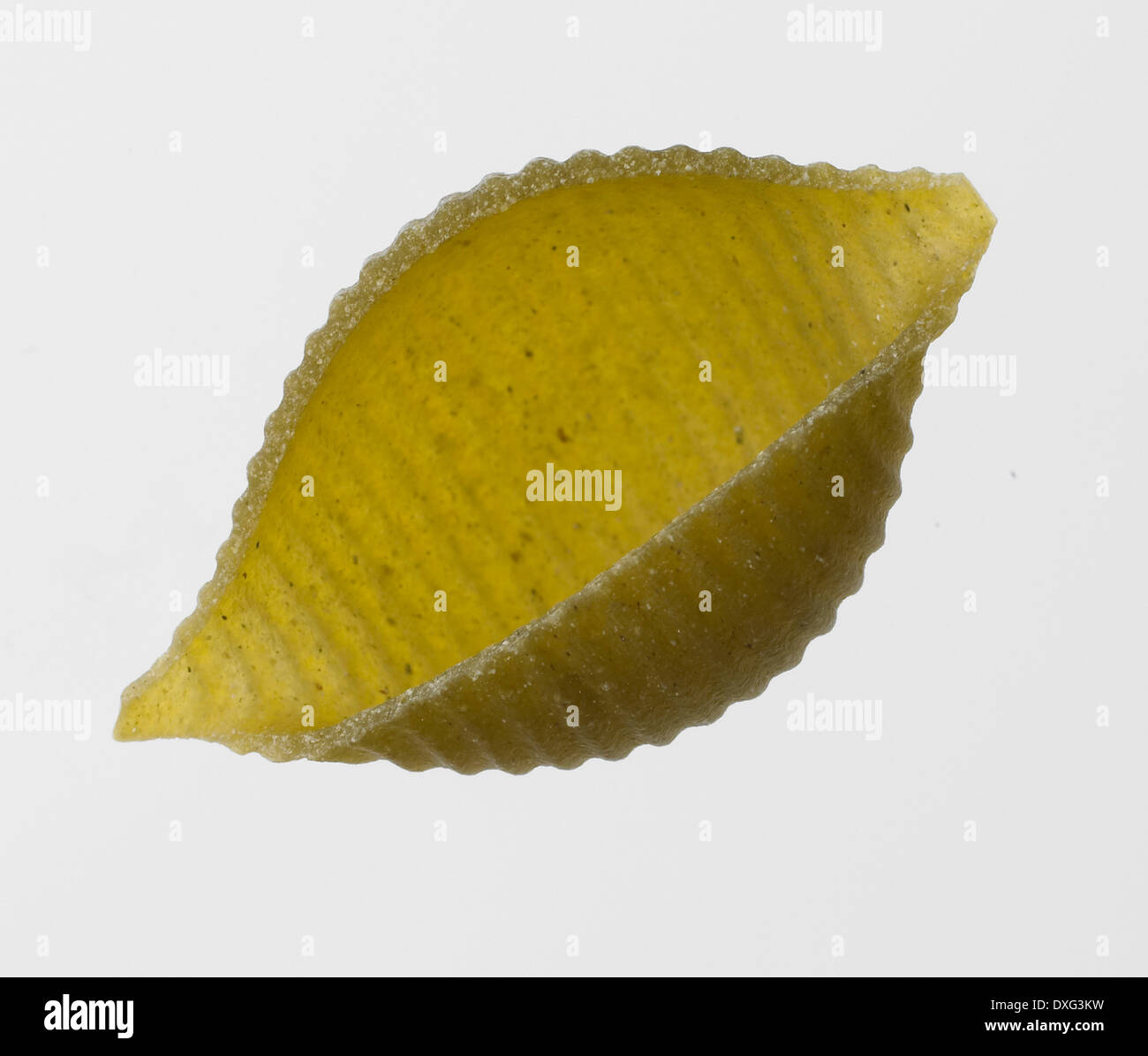 Green Conchiglie Pasta Shell On White Background Stock Photo - Alamy