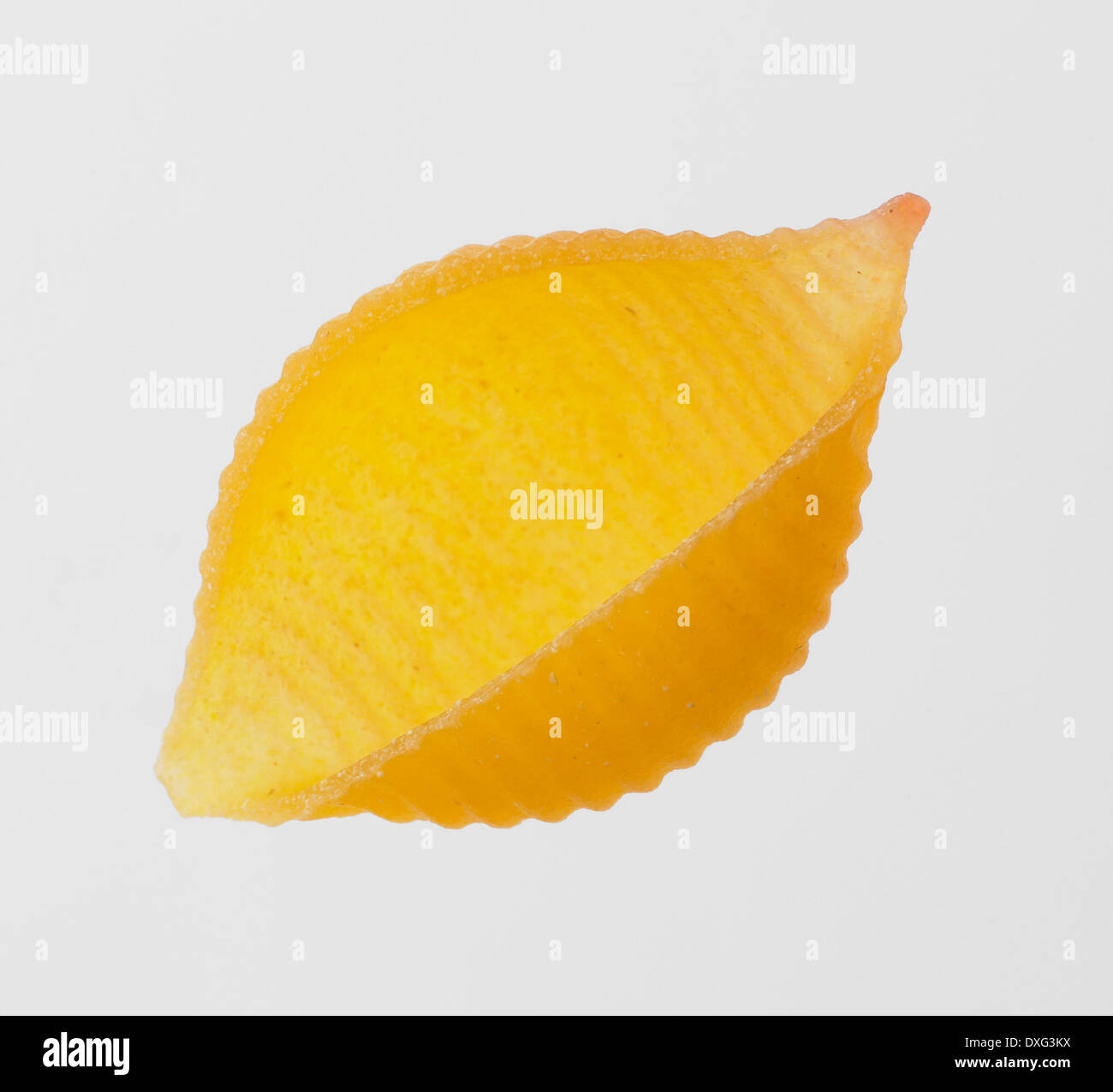 Conchiglie Pasta Shell On White Background Stock Photo - Alamy