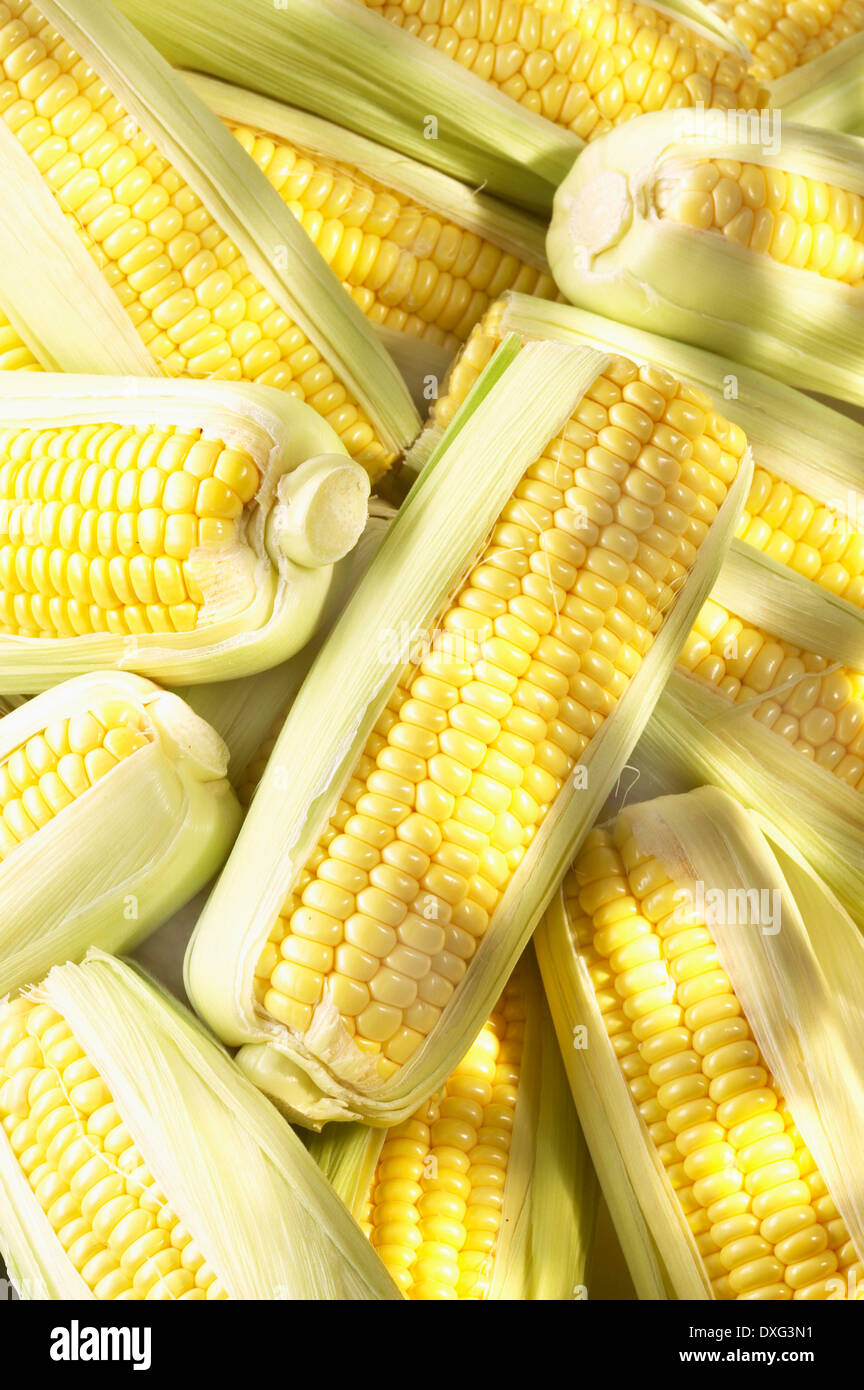 Full Frame Of Freshly Picked Corn On The Cob Stock Photo - Alamy