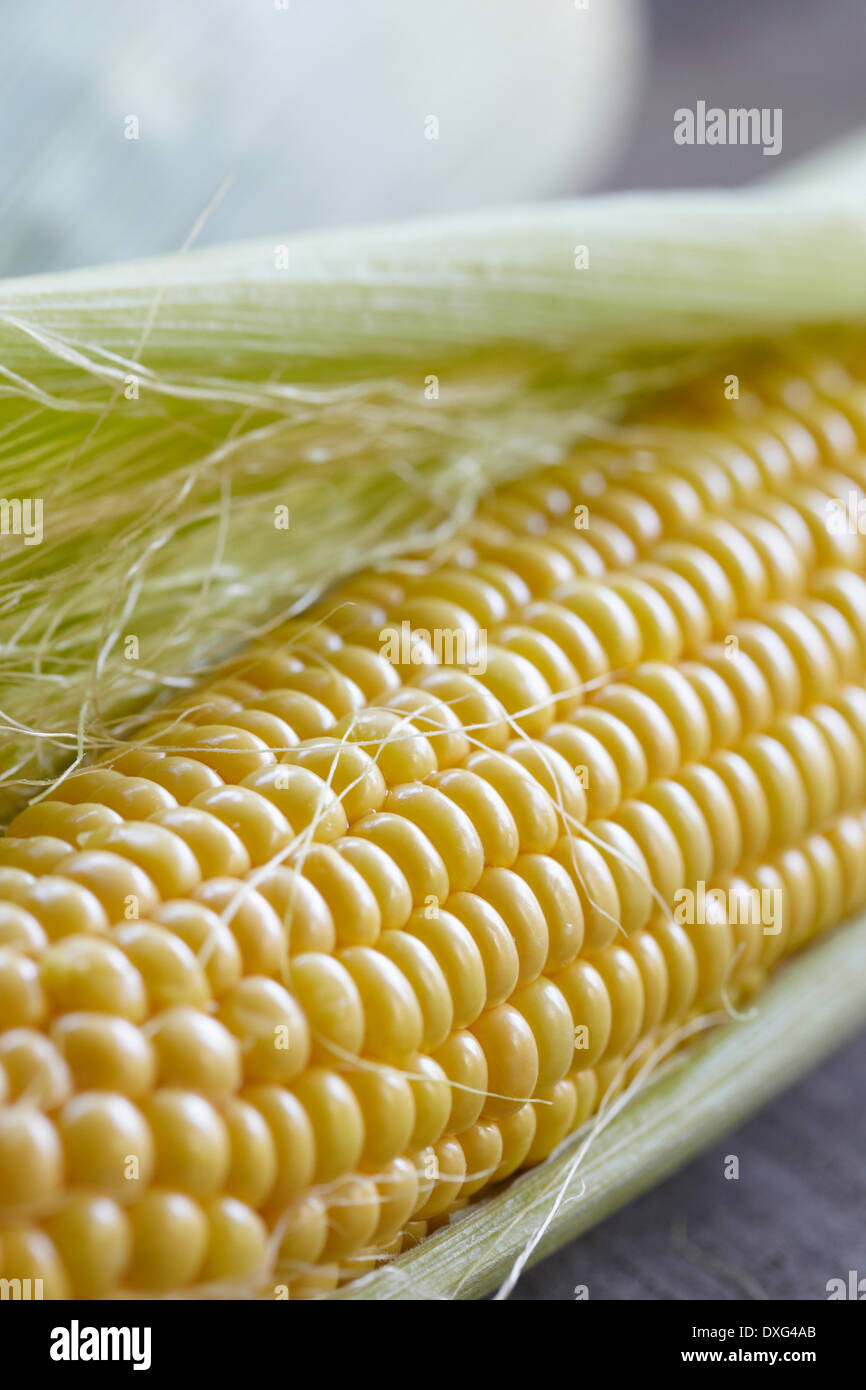 Corn photos hi-res stock photography and images - Alamy