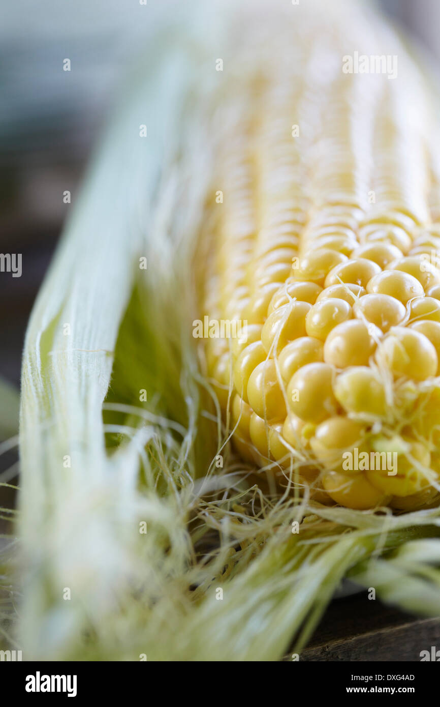 Corn photos hi-res stock photography and images - Alamy