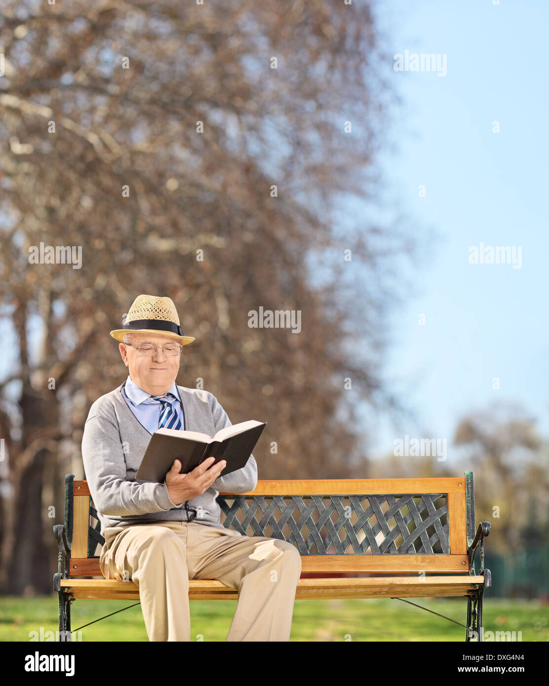 Elderly gentleman reading a book in park Stock Photo - Alamy