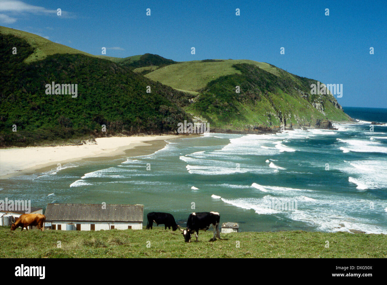 Sinangwana River mouth, Mpande, Transkei, Wild Coast Stock Photo - Alamy