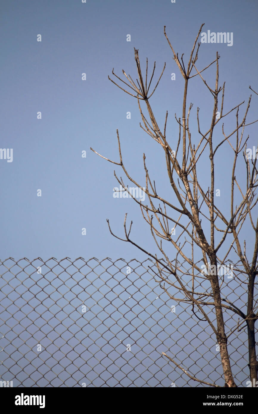Seamless texture metal mesh fence hi-res stock photography and images ...