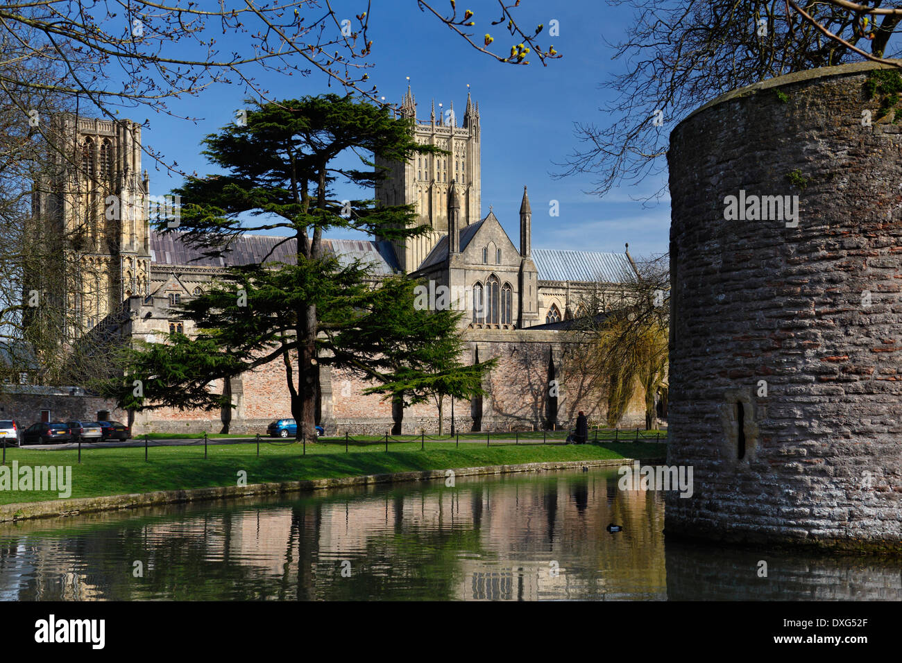 Wells Cathedral viewed over the moat of the Bishops Palace in the City ...