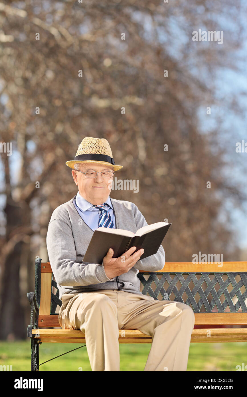 Reading on a bench in nature hi-res stock photography and images - Alamy