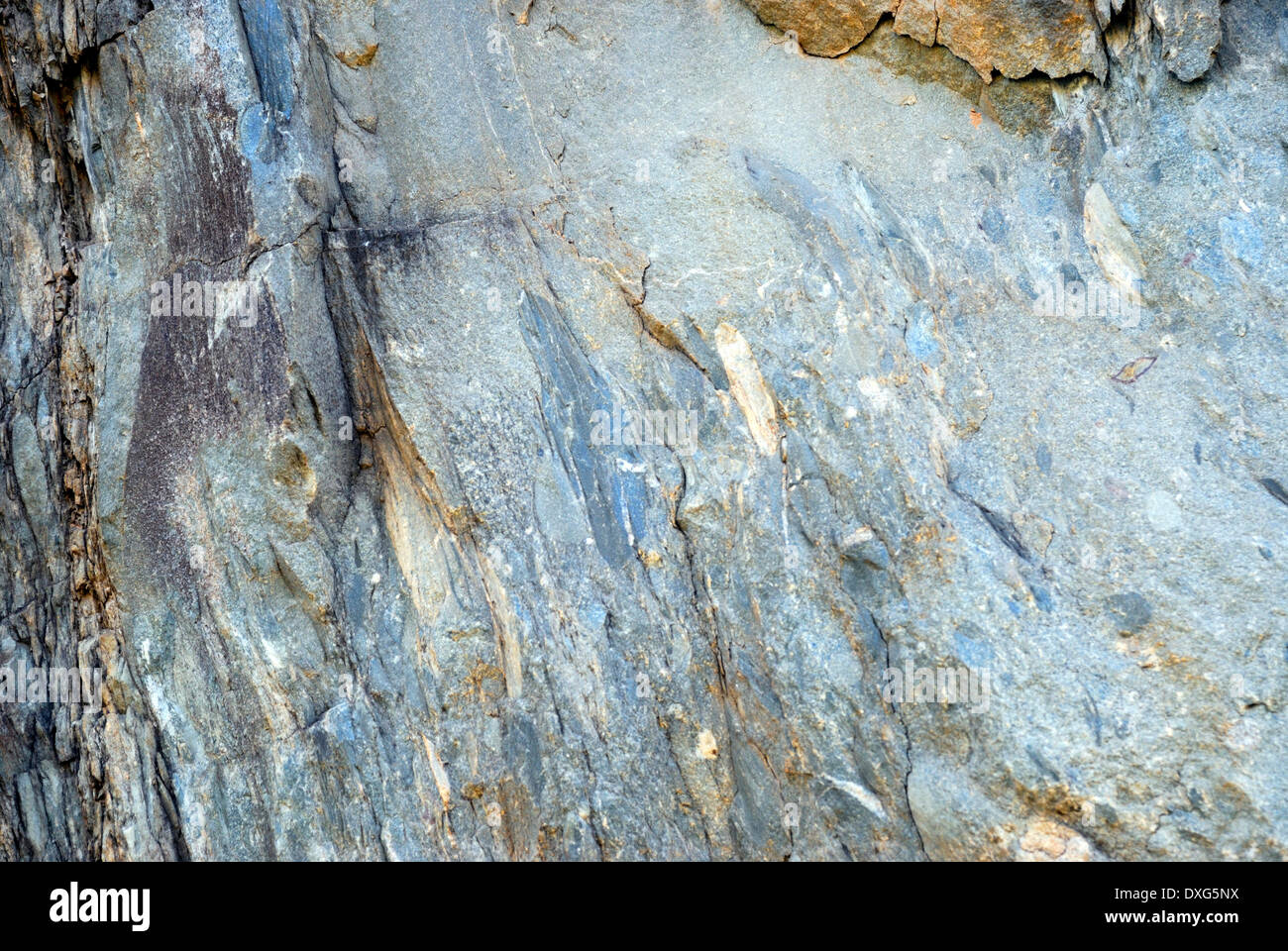 Conglomerate of the Kansa Group, showing deformed stretched out pebbles ...